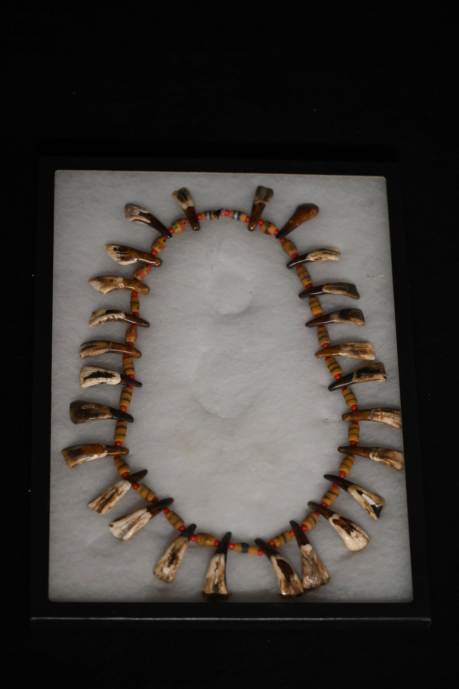 Native American Buffalo Tooth Necklace In A 12 1/4" X 16 1/4" Frame.