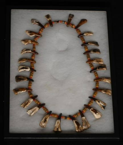 Native American Buffalo Tooth Necklace In A 12 1/4" X 16 1/4" Frame.