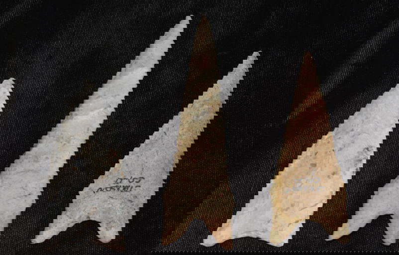 3 Modern Made Dalton Arrowheads