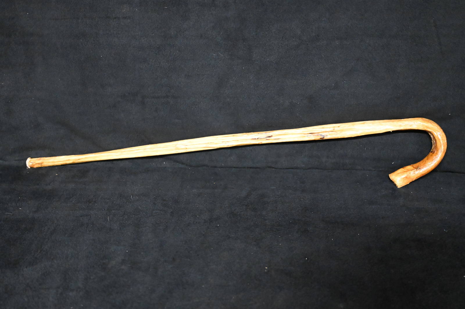 Bull Organ/penis Cane 31 1/2" Tall. Auction