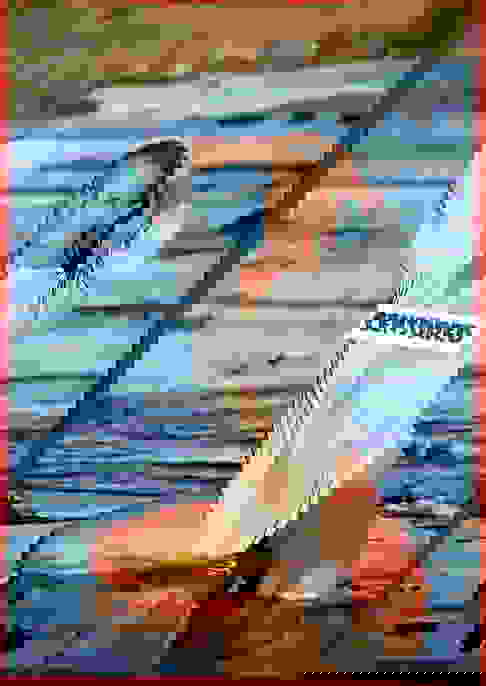 Vintage Original 1979 Bo Derek Poster "10" Still New In The Package Auction