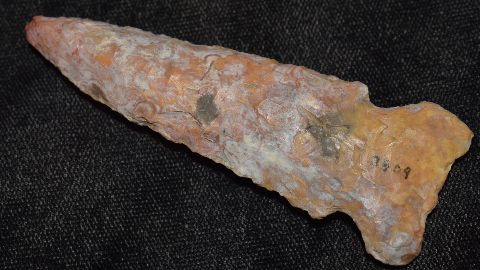 3" Graham Cave Arrowhead Found In Lee Co., Ia. Ryan Keele Coa. Ex Steve ...