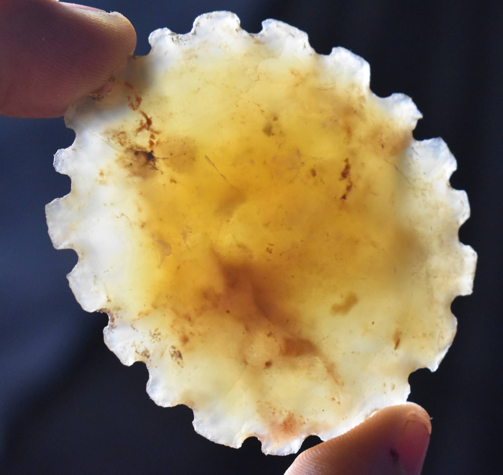 2 5/8" Outstanding Translucent Mayan Pre-columbian Sun Disc Eccentric ...