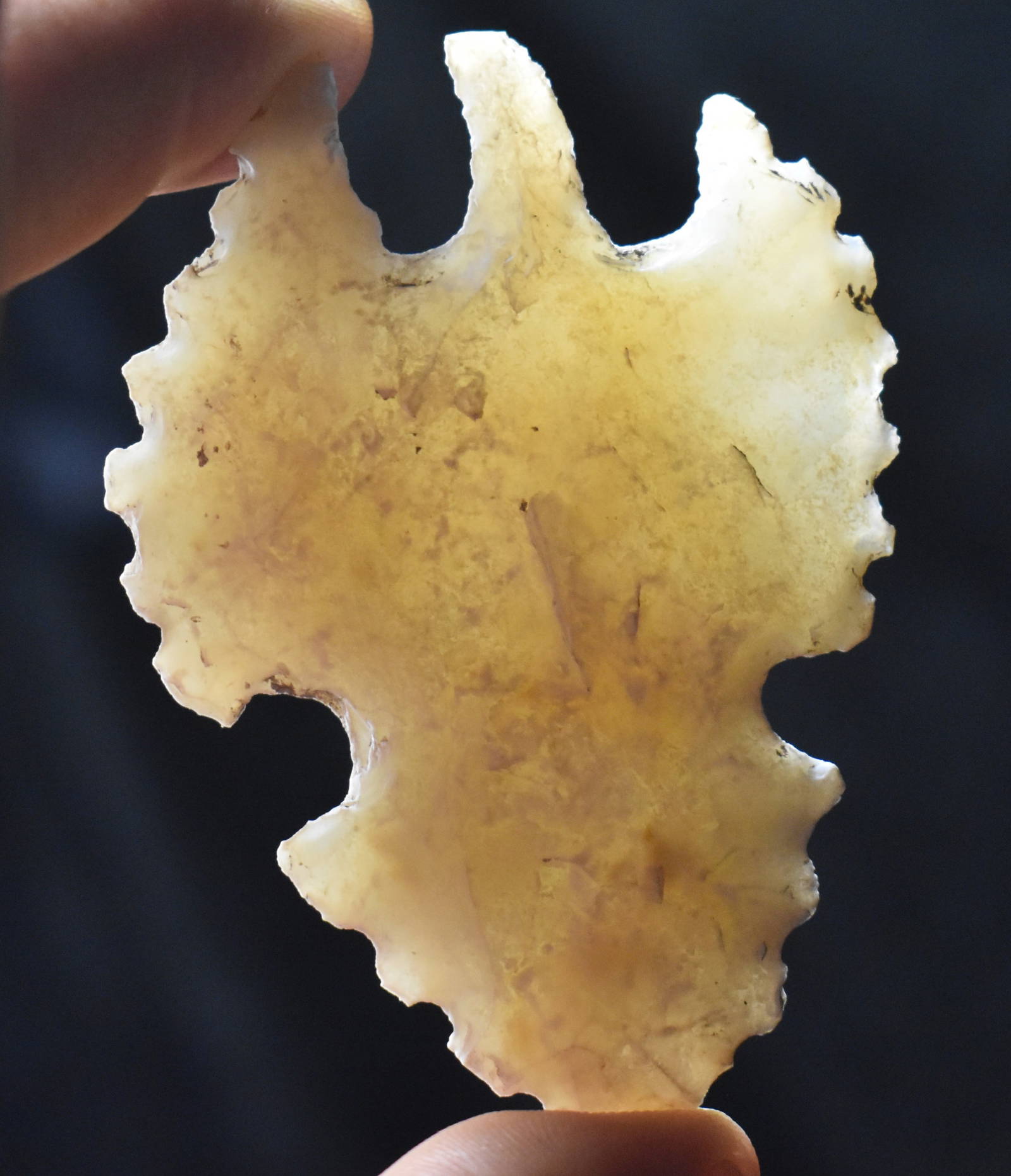 3 1/8" Ocellated Turkey Pre-columbian Mayan Flint Eccentric Auction