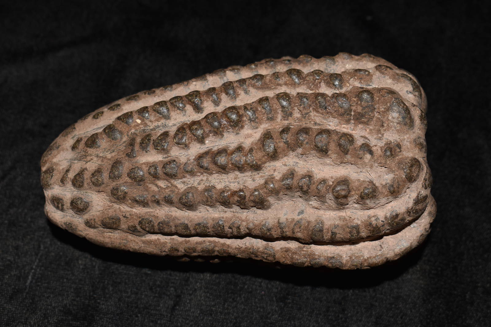 4 3/4" Pre-columbian Incan Corn God Offering Auction