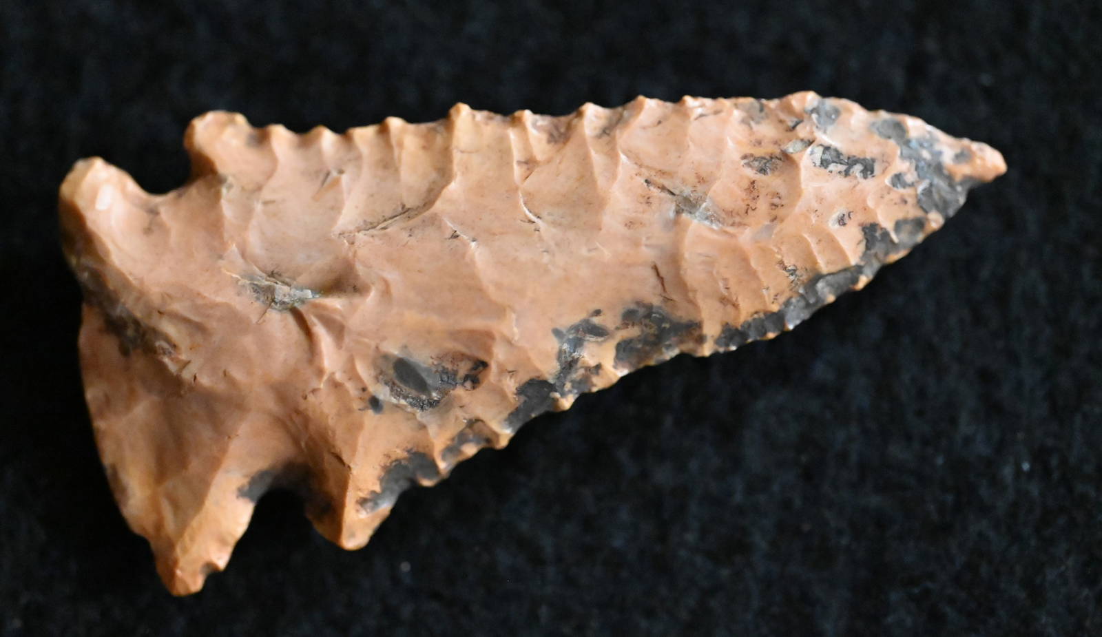 2 3/16" Pine Tree Arrowhead Found In Kentucky. Auction