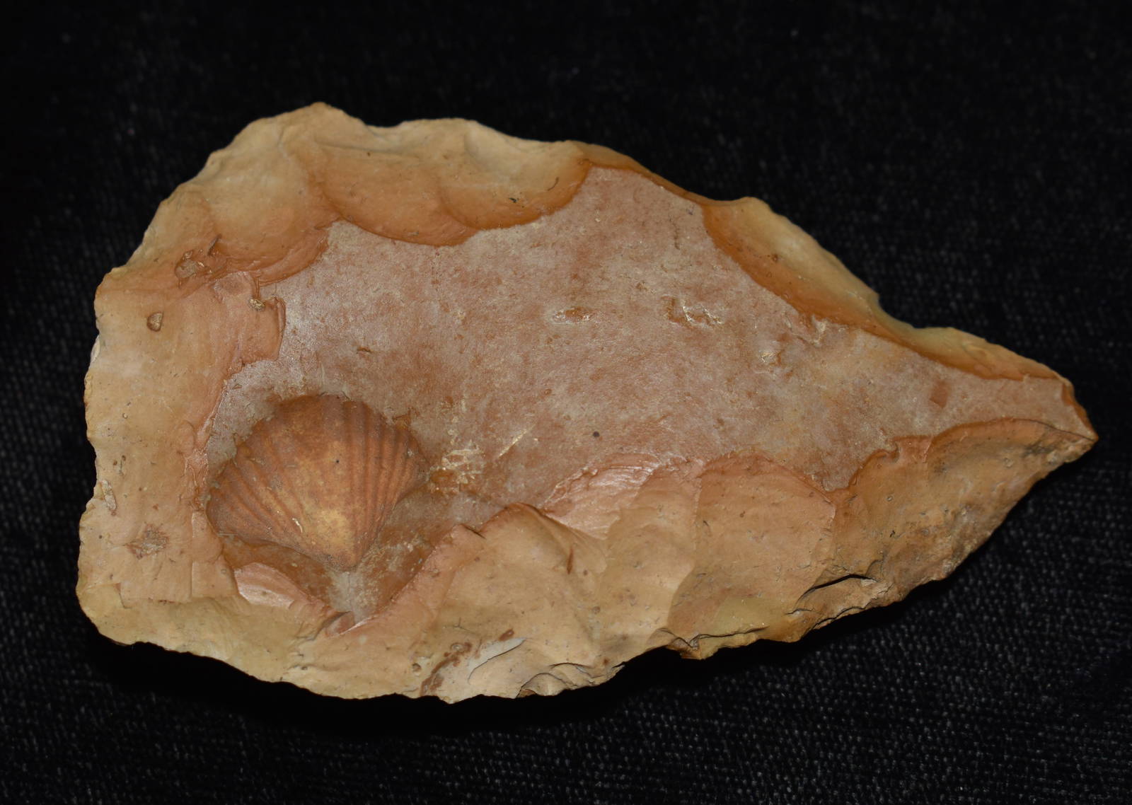 3" Chert Biface With A Fossil Inclusion Auction