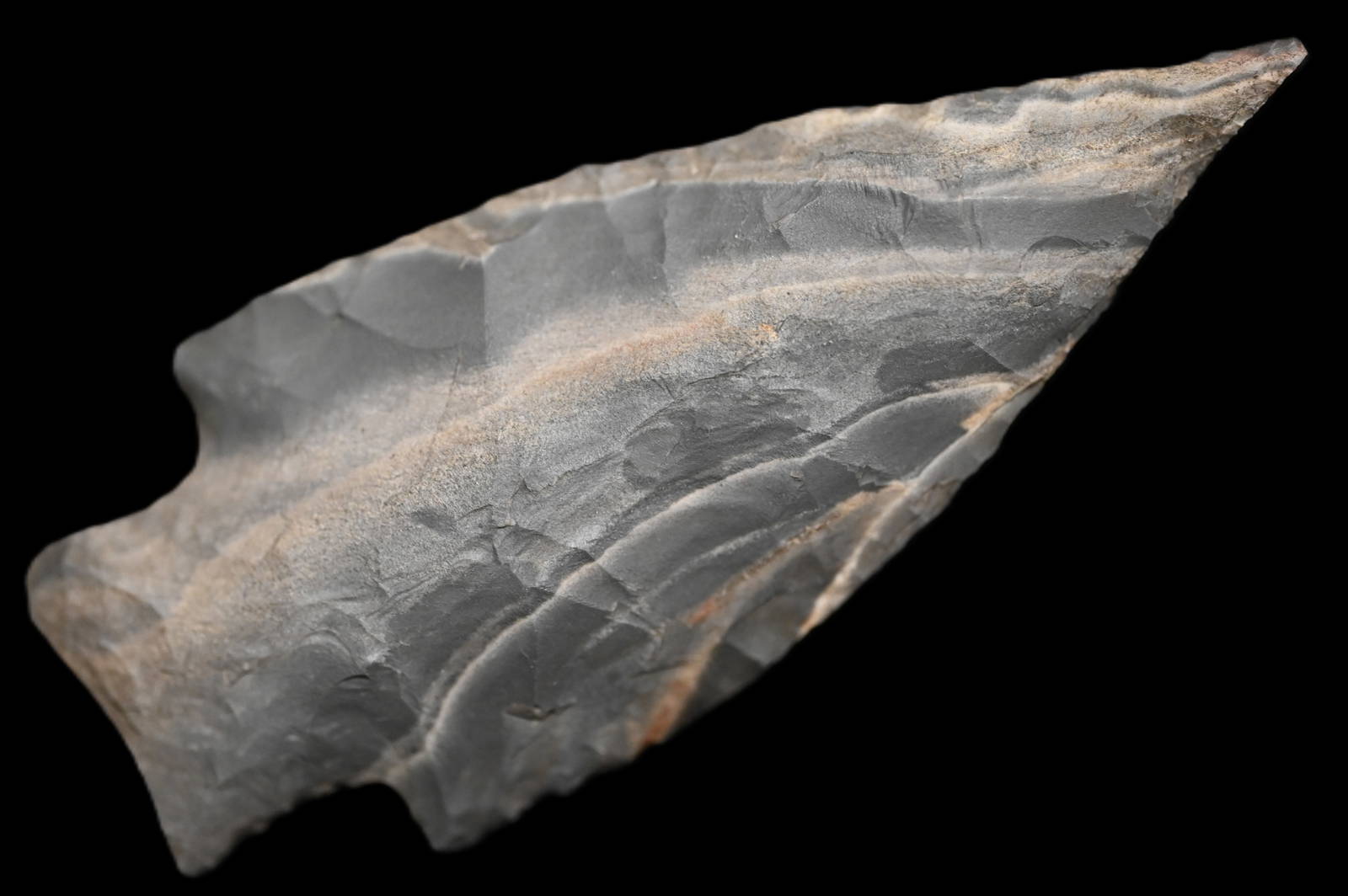 2 15/16' Colorful Delhi Arrowhead Found In Cooper Co. Missouri Ex ...