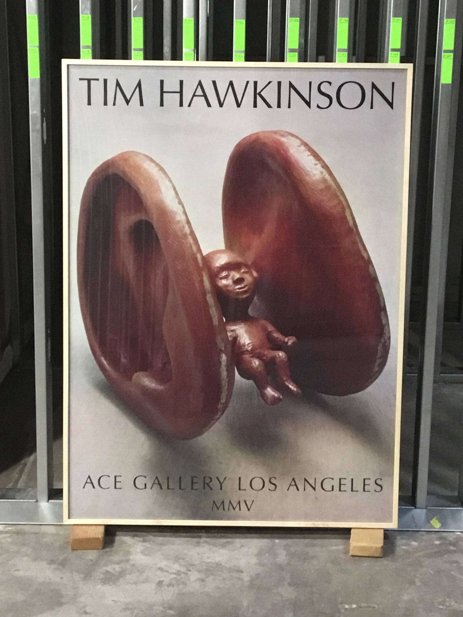 Tim Hawkinson - Mmv - Framed Auction