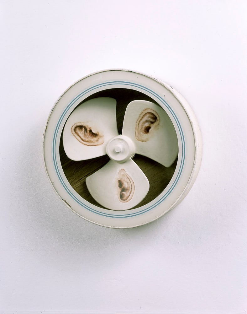Tim Hawkinson - Oil And Mixed Media, 'ear Propeller' Auction