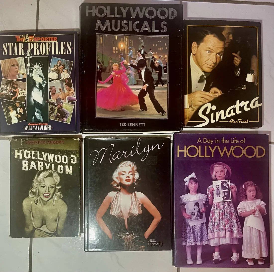 Lot 6 Hollywood Books Sinatra ,marilyn Monroe, Star Profiles , Musicals ...