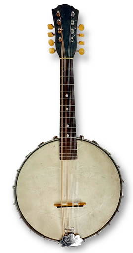 Vintage Remo Weather King (8) String Banjo