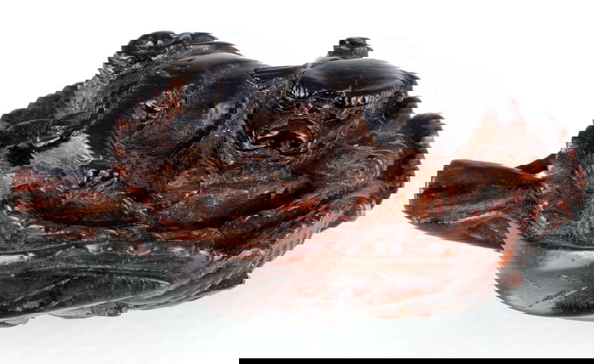 Japan 19th Century Netsuke Katabori Shishi On Lotus Flower,