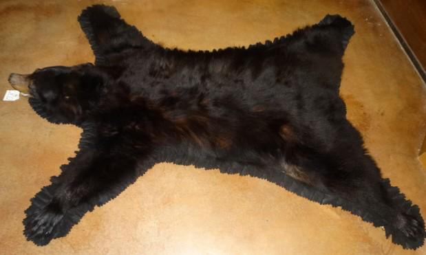 Aaa Quality Winter Fur Black Bear Rug Mount Taxidermy