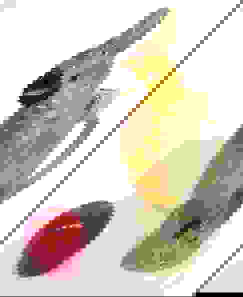 St. Clement Pottery France Majolica Parrot Form Absinthe Pitcher - Oct ...