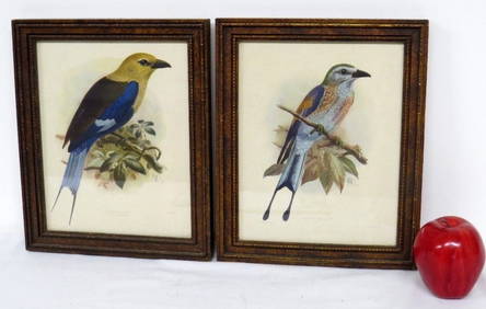 5 Unframed Nicholas A. Rosato Prints Birds & More