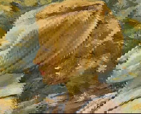 Agnes M Richmond 1870-1964 Auction