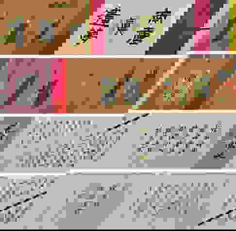 Ancient Scroll Of Tang Yin's Dream Of Southern Tang Dynasty Wen Zheng ...