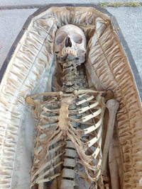 ODD FELLOW EARLY COFFIN WITH HUMAN SKELETON, FROM