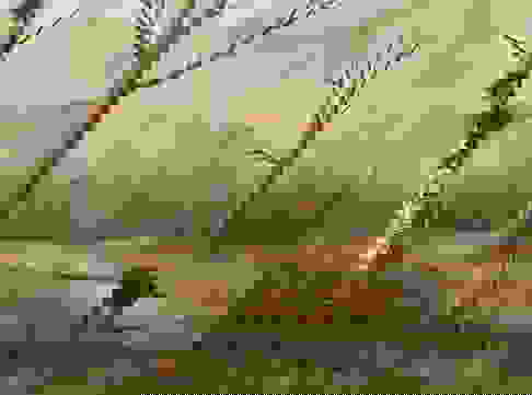 David Waller (b.1948, British), Oil On Canvas, A Country Sporting ...