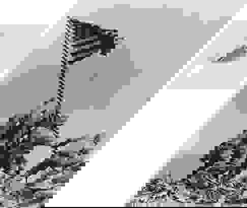 Rosenthal, Joe. Raising The Flag On Iwo Jima. 1945 Auction