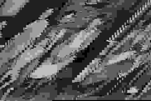 Evans, Walker. Bud Fields Family, Alabama. 1936 Auction