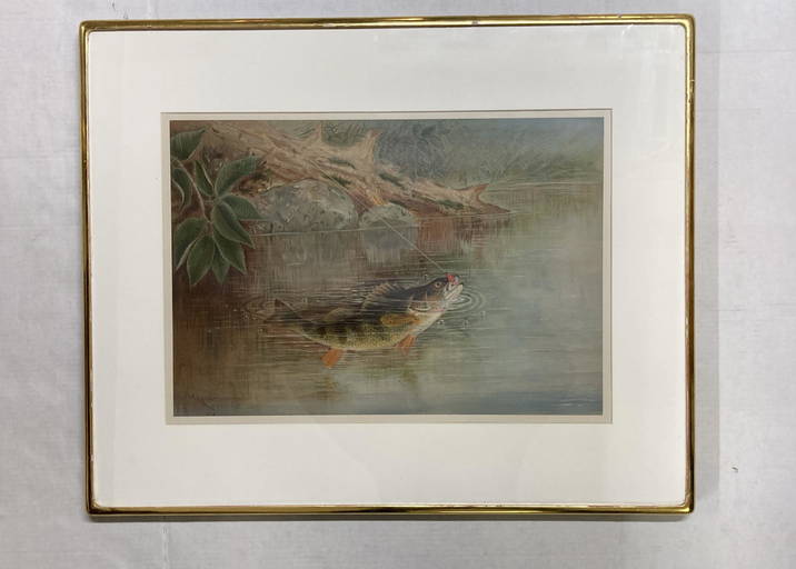 Samuel A. Kilbourne 1878 Yellow Perch The Grayling Artwork (#0444) on ...