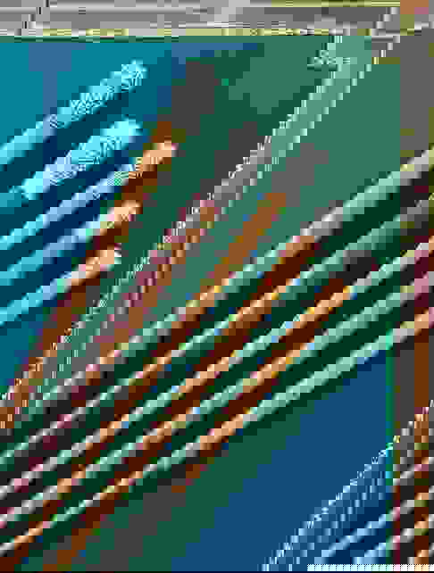 Five 19th Century Chinese / South East Asian Silver Topped Walking ...