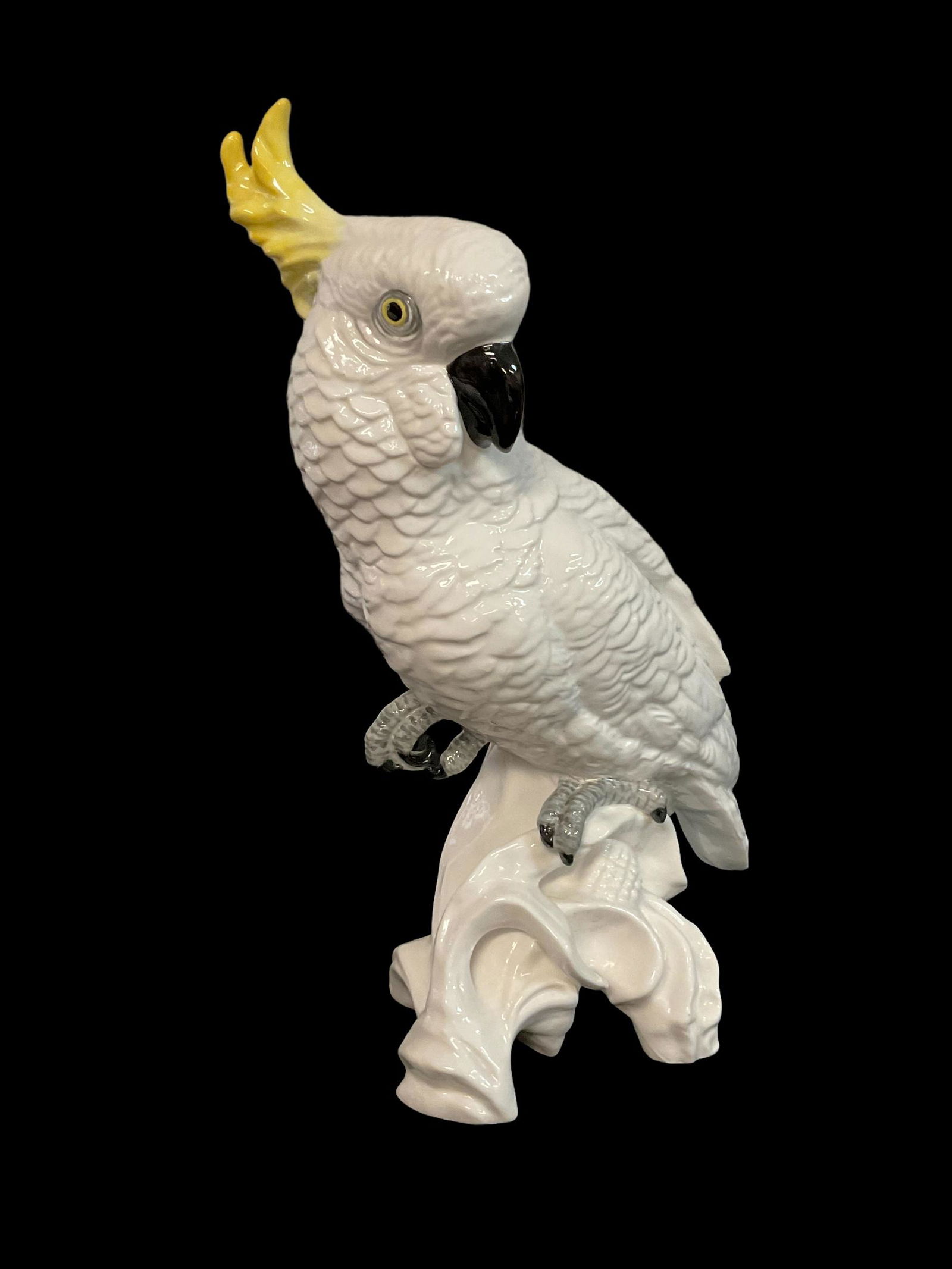 Staffordshire Cockatoo Bone China Bird Statue Signed Jt Jones May