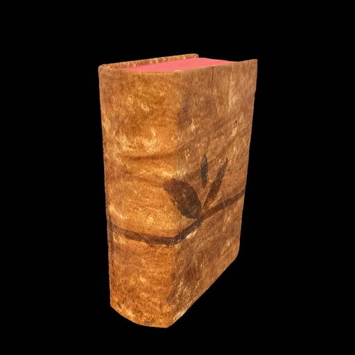 Ka Baibala Hemolele The Holy Bible in Hawaiian Decorative Binding ...