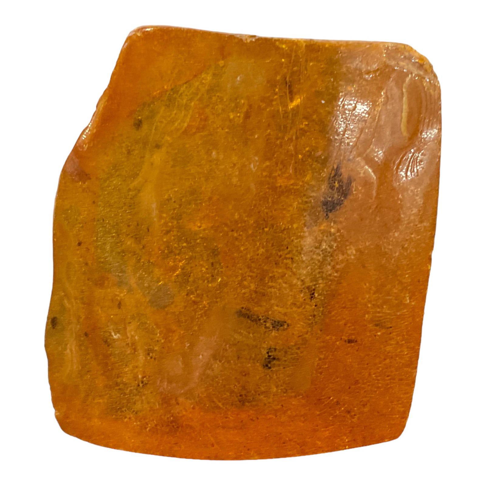 Fossilized Amber With Insects Auction
