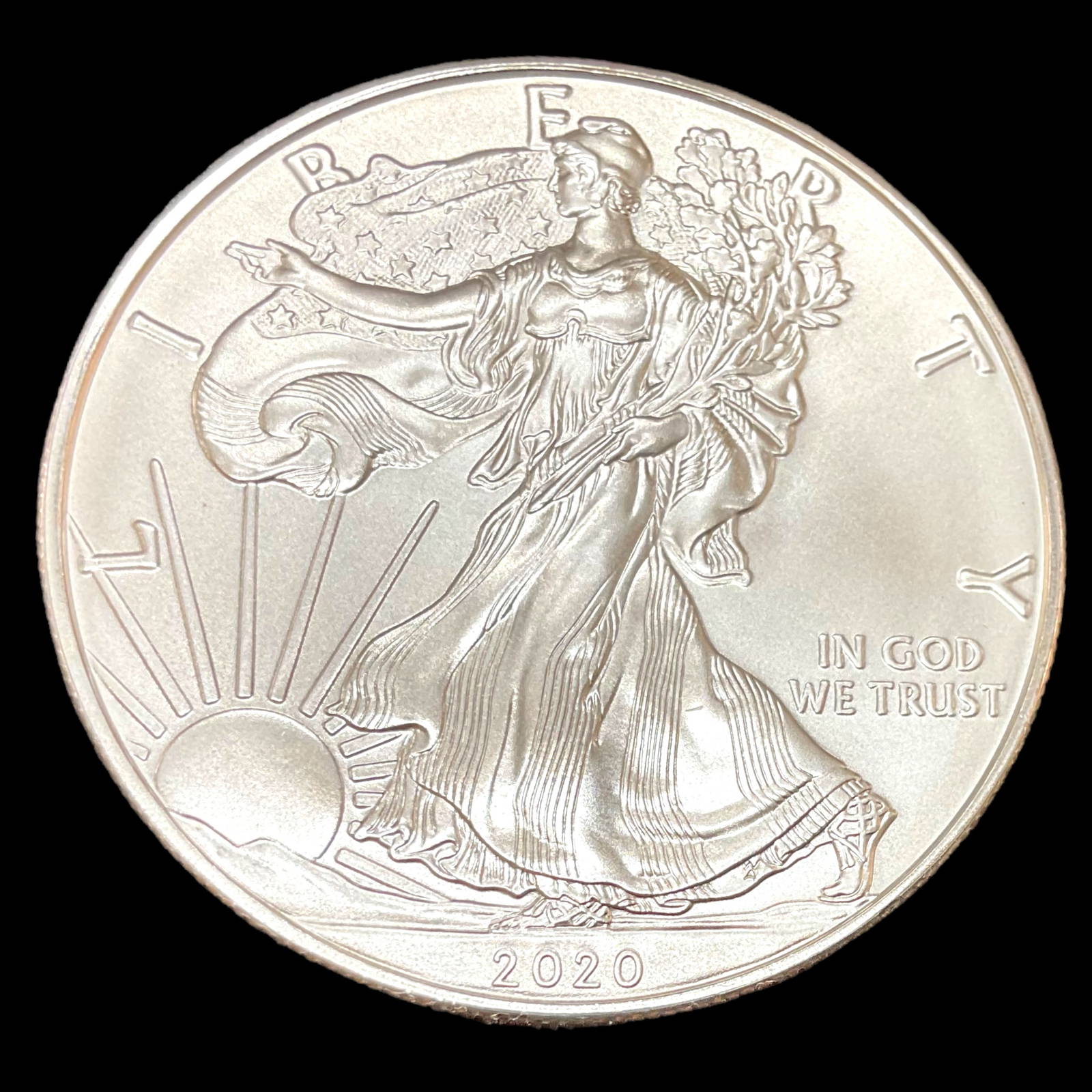 2020 American Silver Eagle $1 Coin .999 Fine Silver Auction