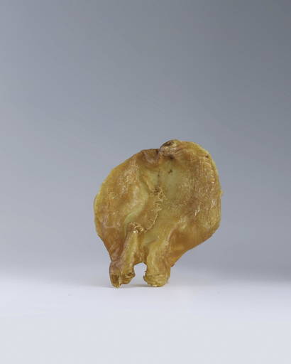 An Rare Maw 1 , Preserved For 20 Years