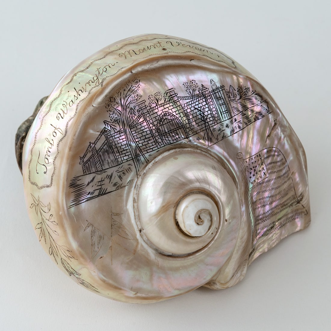 Antique Scrimshaw Turbo Shell Tomb Of George Washington Mt. Vernon Auction