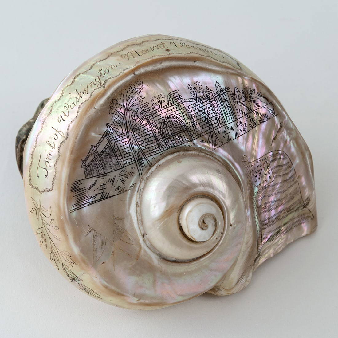 Antique Scrimshaw Turbo Shell Tomb Of George Washington Mt. Vernon Auction