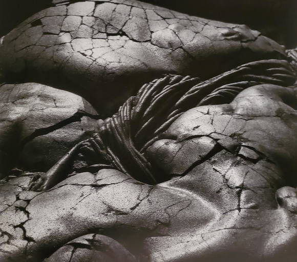 Brett Weston, Lava 1985