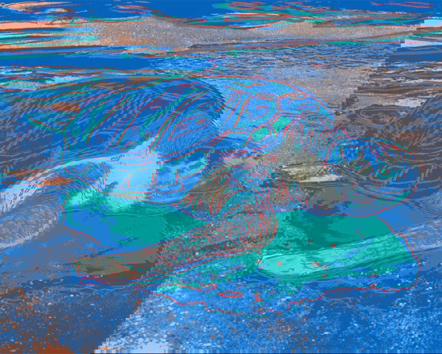 Andy Warhol "turtle" Silkscreen 1985 Auction