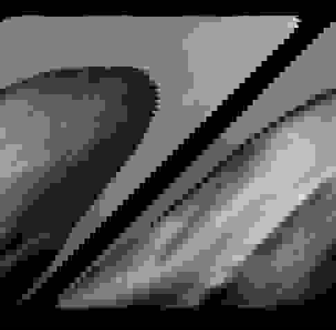 Robert Mapplethorpe, Donald Cann, 1982 Auction