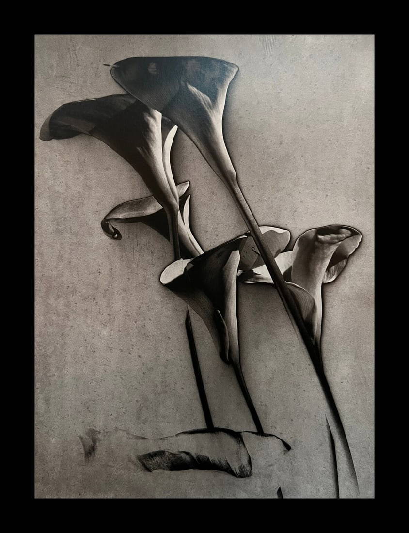 Man Ray, Calla Lilies, 1930 Auction