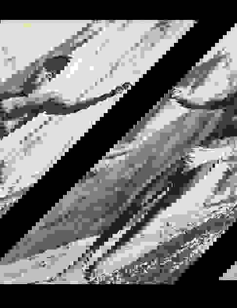 Tamotsu Yato, Satoshi Tokuhiro At Horai Gorge, Takarazuka, Hyogo Auction