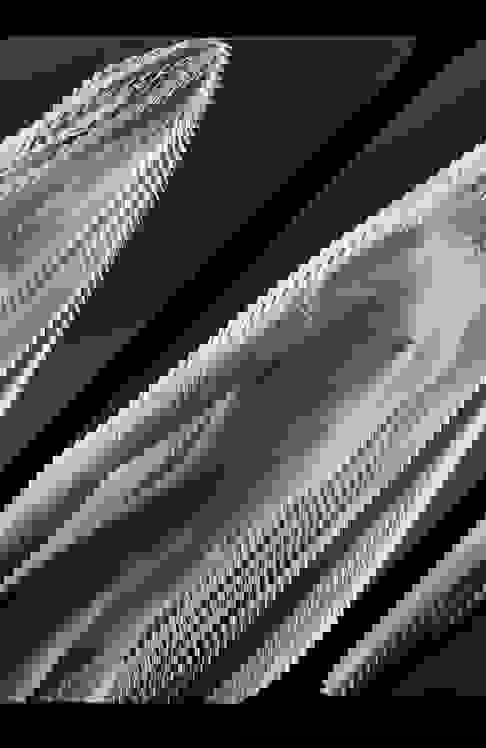 Ruth Bernhard, Transprent, 1968 Auction