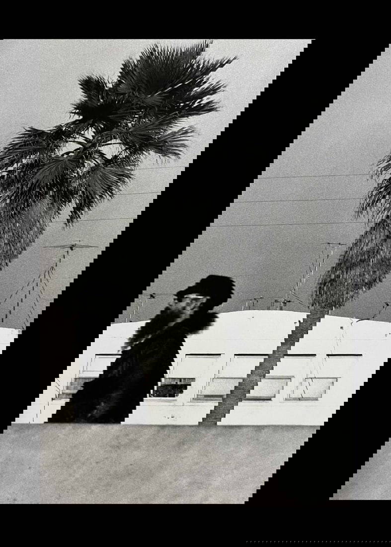 Elliott Erwitt, Venice, California, 1976, Limited Editing Of 254 Auction