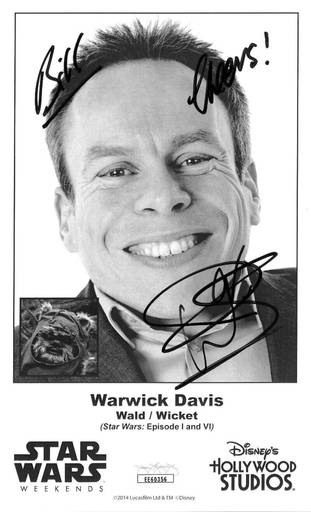 Warwick Davis Signed Wicket Star