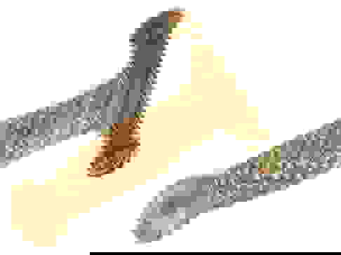 American Civil War Confederate Cutlass Short Sword Brass Handle By ...