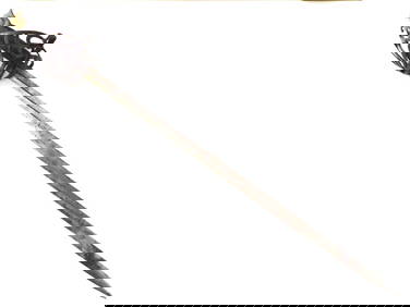 A Rapier