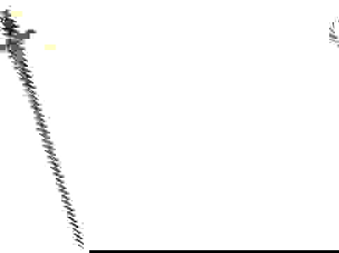 Antique Transitional 17th C. French Rapier Auction