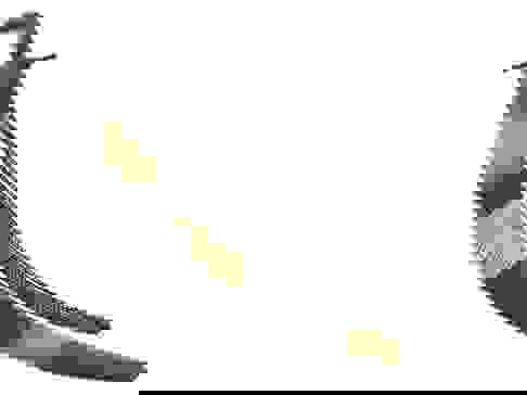 Antique Islamic Arabic Arab Saif Scimitar Shamshir Battle Sword Auction