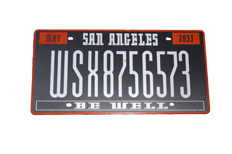 Baywatch License Plate Prop