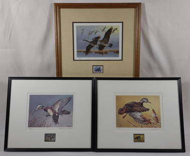 3 Various Duck Prints