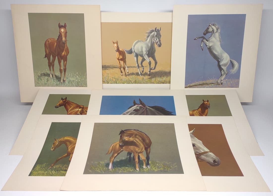 1955 C.w. Anderson Horse Portfolio Print Set Auction